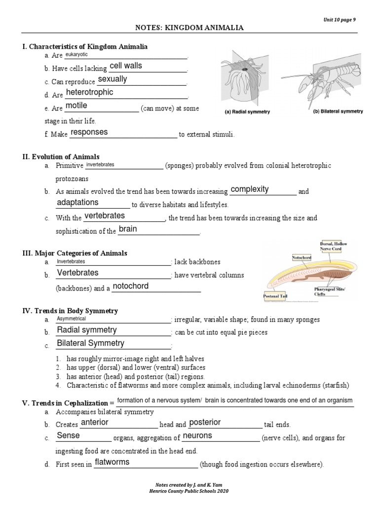 Bio - Unit - 10 - Animal - Notes - 2020 - SC RIGHT ONE | PDF | Anatomy ...