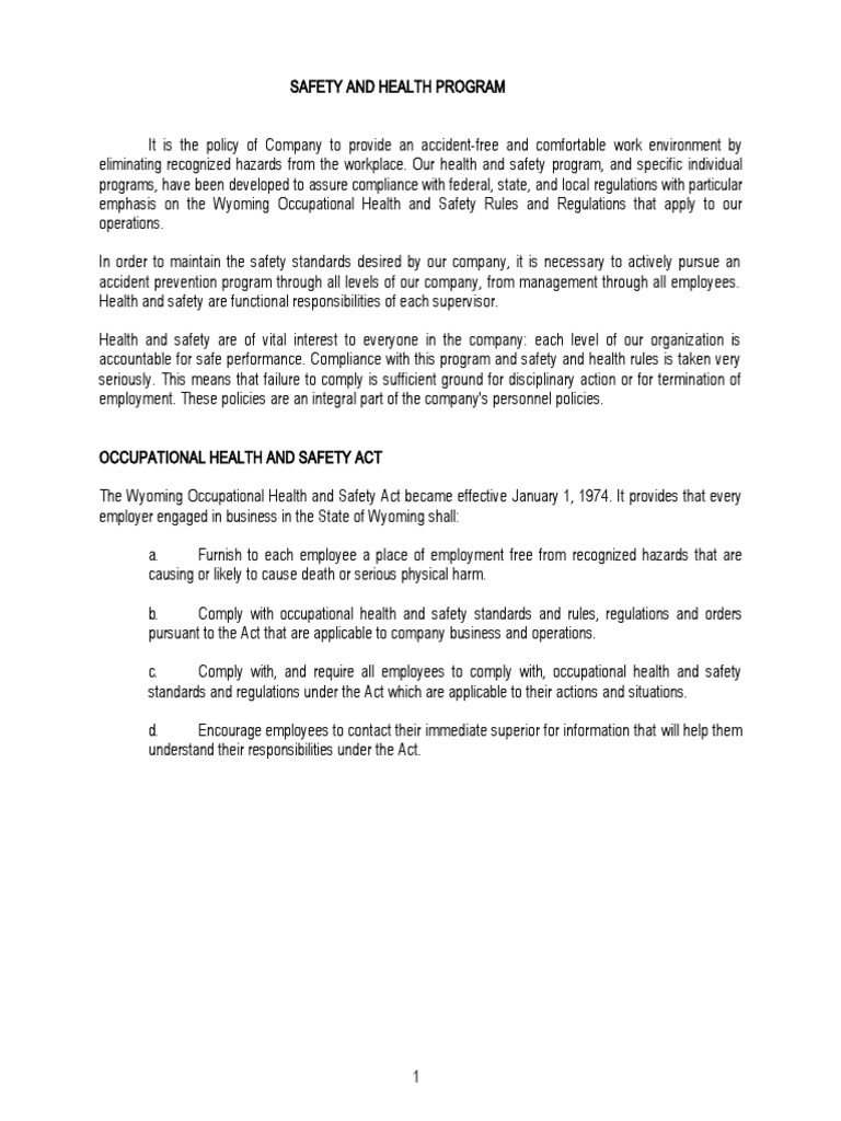 Comprehensive Safety and Health Program Construction | PDF ...