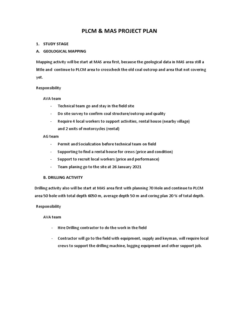PLCM & Mas Project Plan | PDF