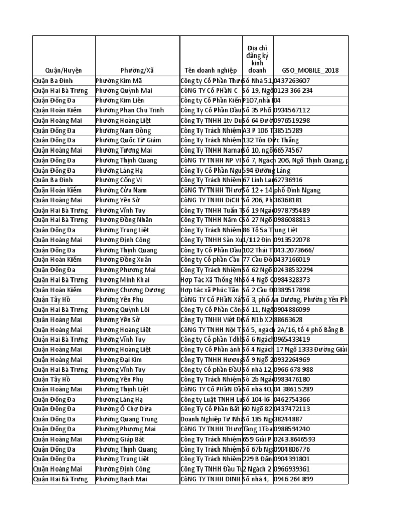 P.KHDN - SME Sieu Nho | PDF