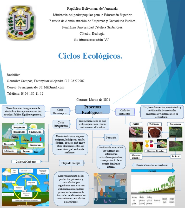 Mapa Mental Procesos Ecologicos | PDF | Ecología | Plantas