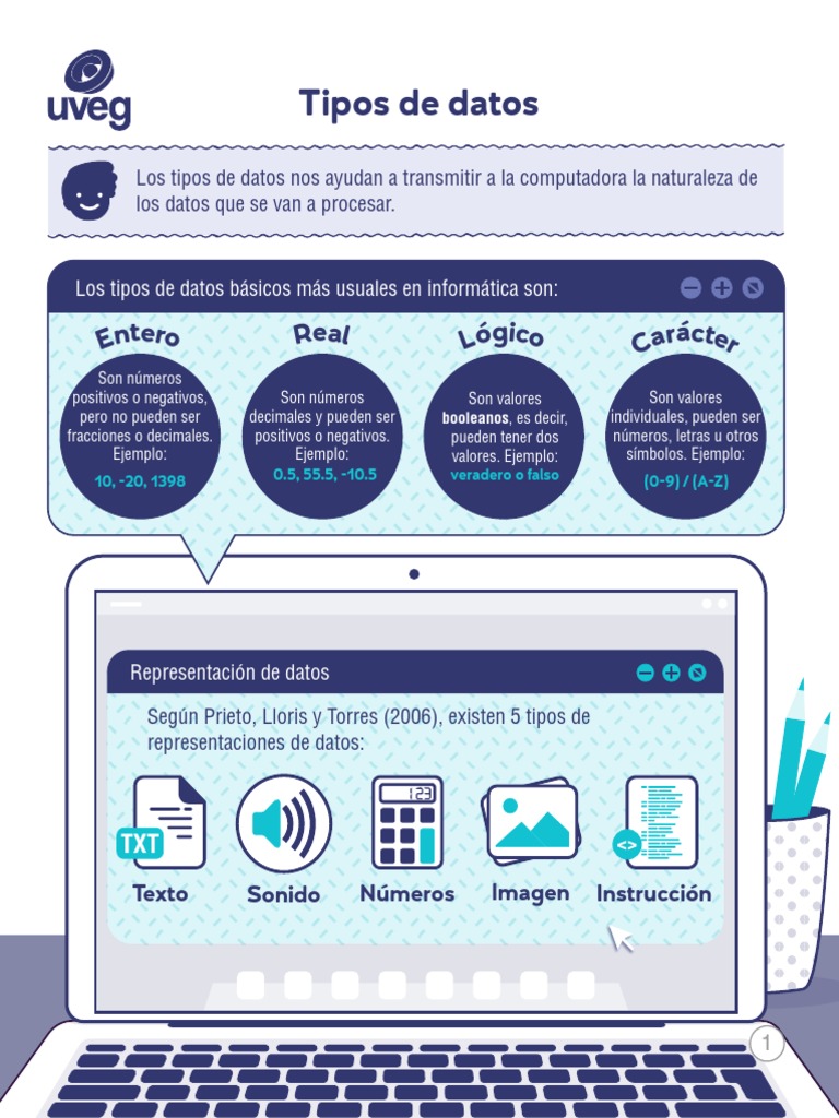 Infografia Tipo de Datos | PDF