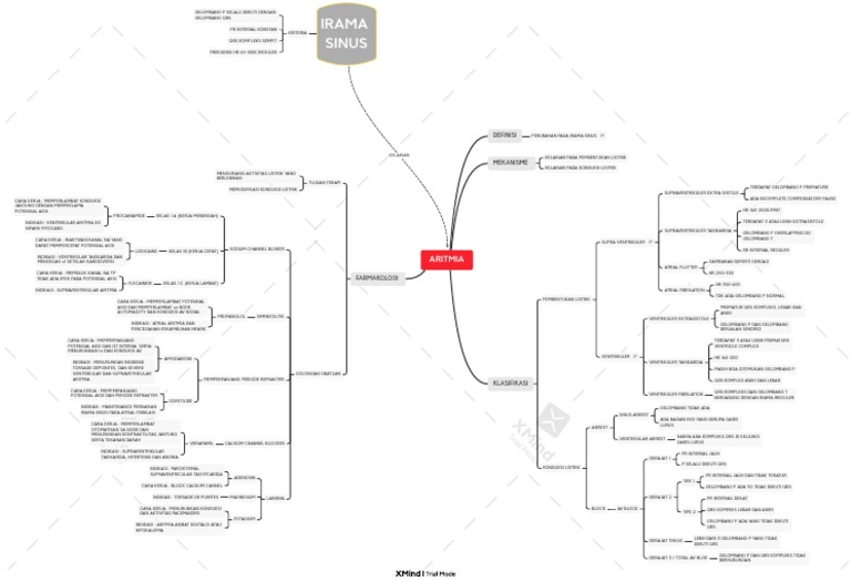 Panduan Lengkap Aritmia dan Pengobatan | PDF