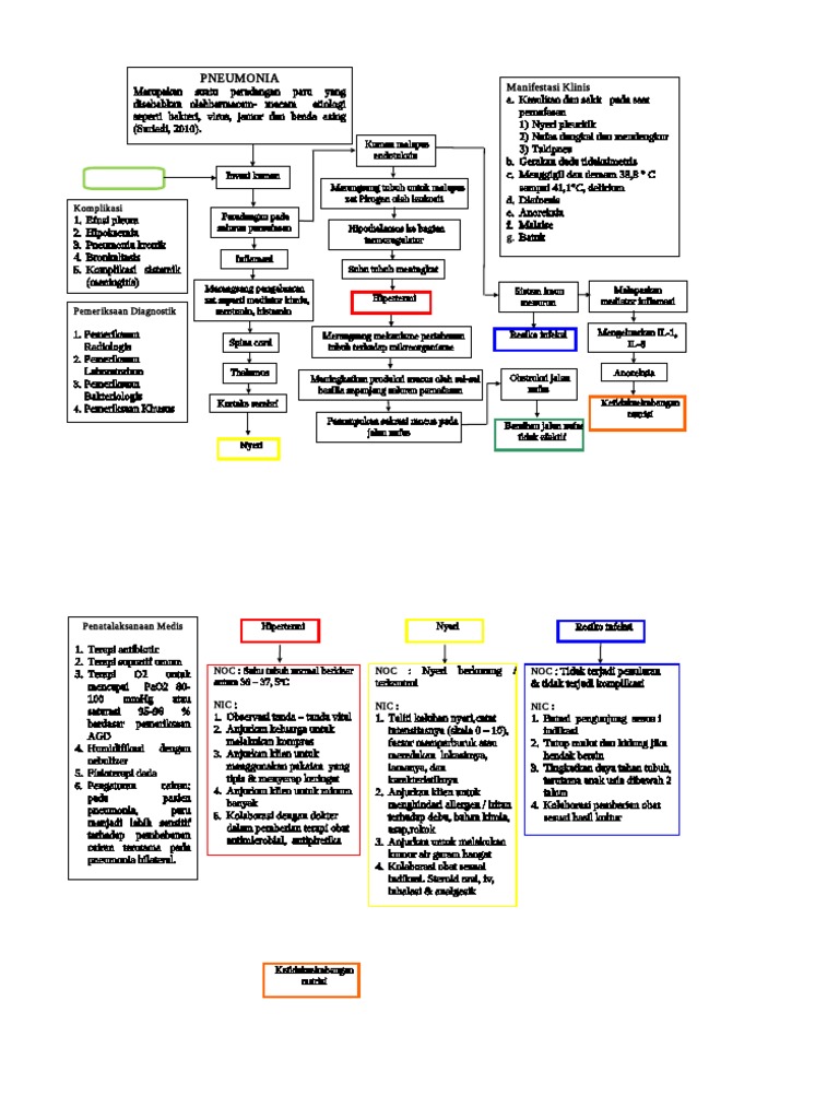 Woc Pneumonia Ok | PDF