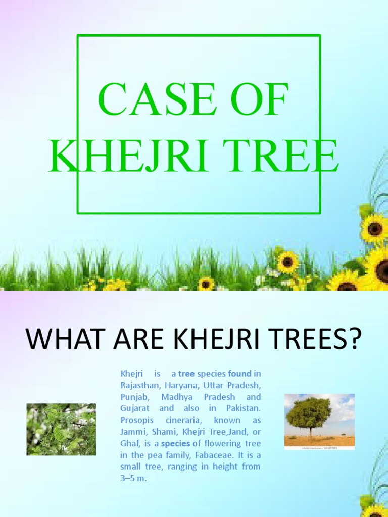 Case of Khejri Tree | PDF | Trees