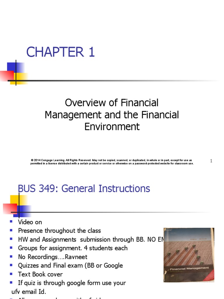 Overview of Financial Management and The Financial Environment | PDF ...