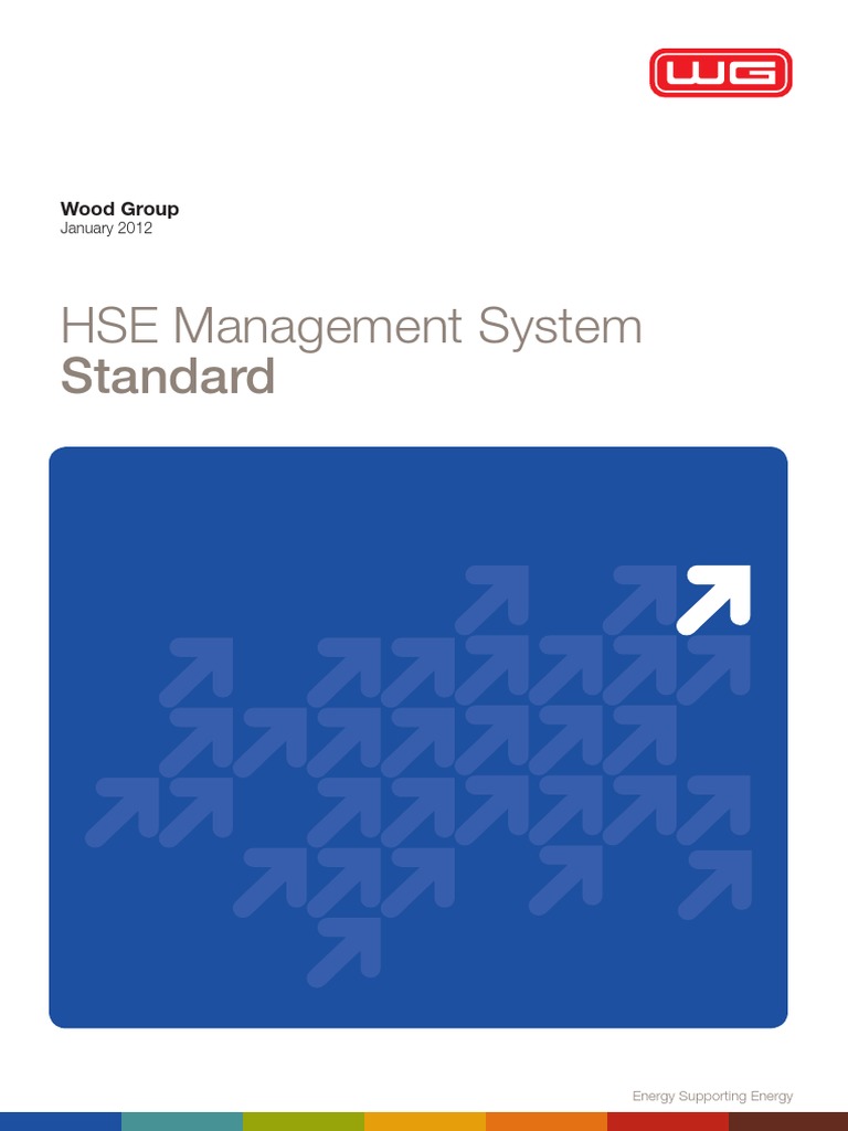 HSE Management System Standard | PDF | Regulatory Compliance | Risk