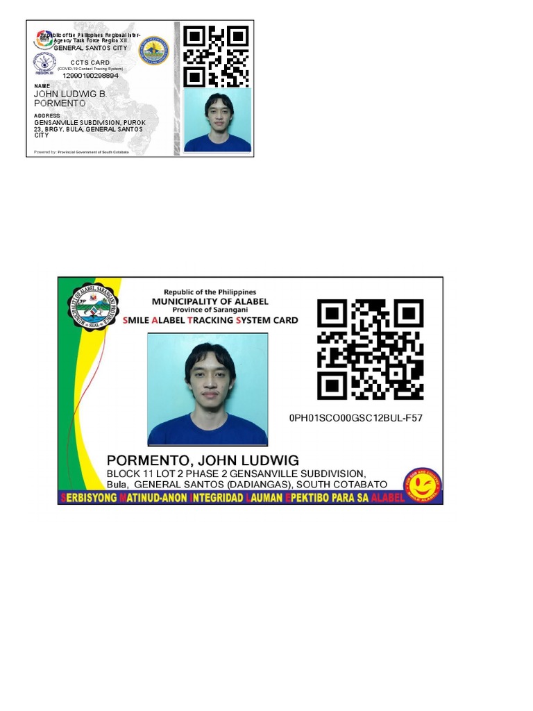 John Ludwig B. Pormento: Ccts Card | PDF