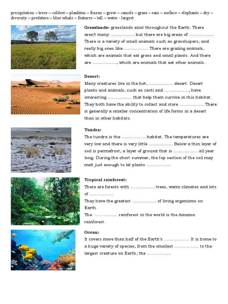 Habitats Text Tercer Grado Habitats | PDF | Rainforest | Habitat