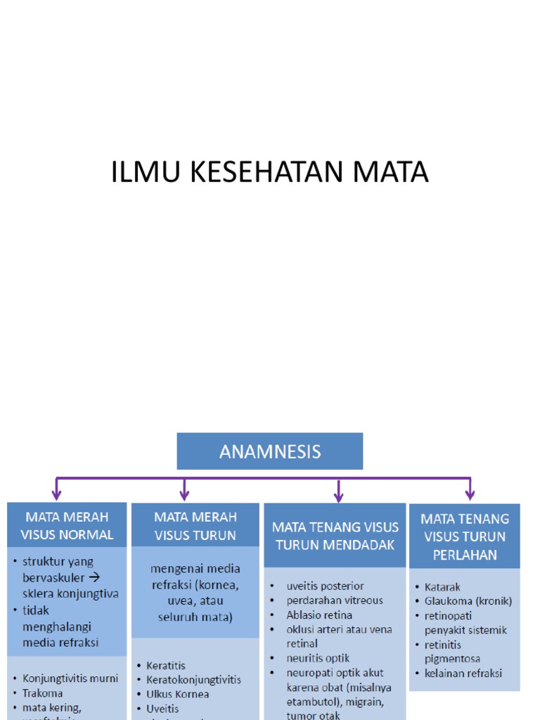 Mind Map Mata | PDF