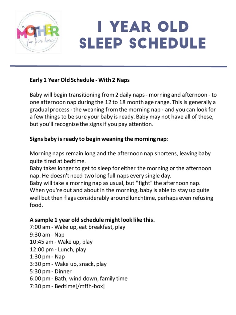 Early 1 Year Old Schedule - With 2 Naps | PDF | Sleep | Determinants Of ...