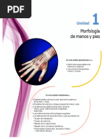 Clasificación de Narakas | PDF