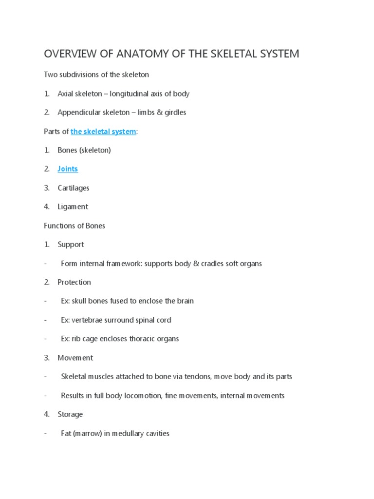 Overview of Anatomy of The Skeletal System - Midterm Lessons | PDF ...
