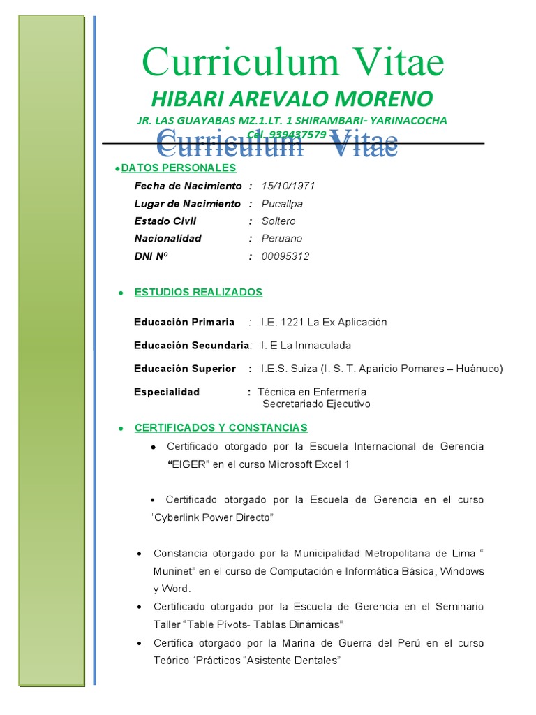 CURRICULUM Jerry | PDF | Enfermería | Bienestar