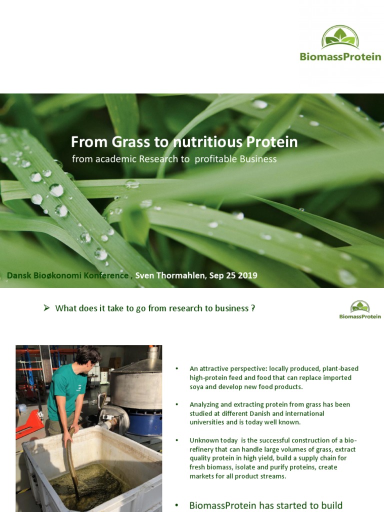 Biomass Protein - Sven Thormählen | PDF | Soybean | Livestock