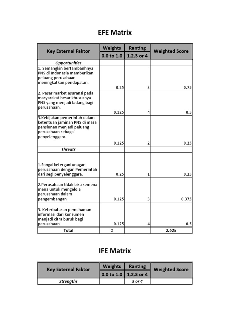 Analisis EFE dan IFE Matrix | PDF