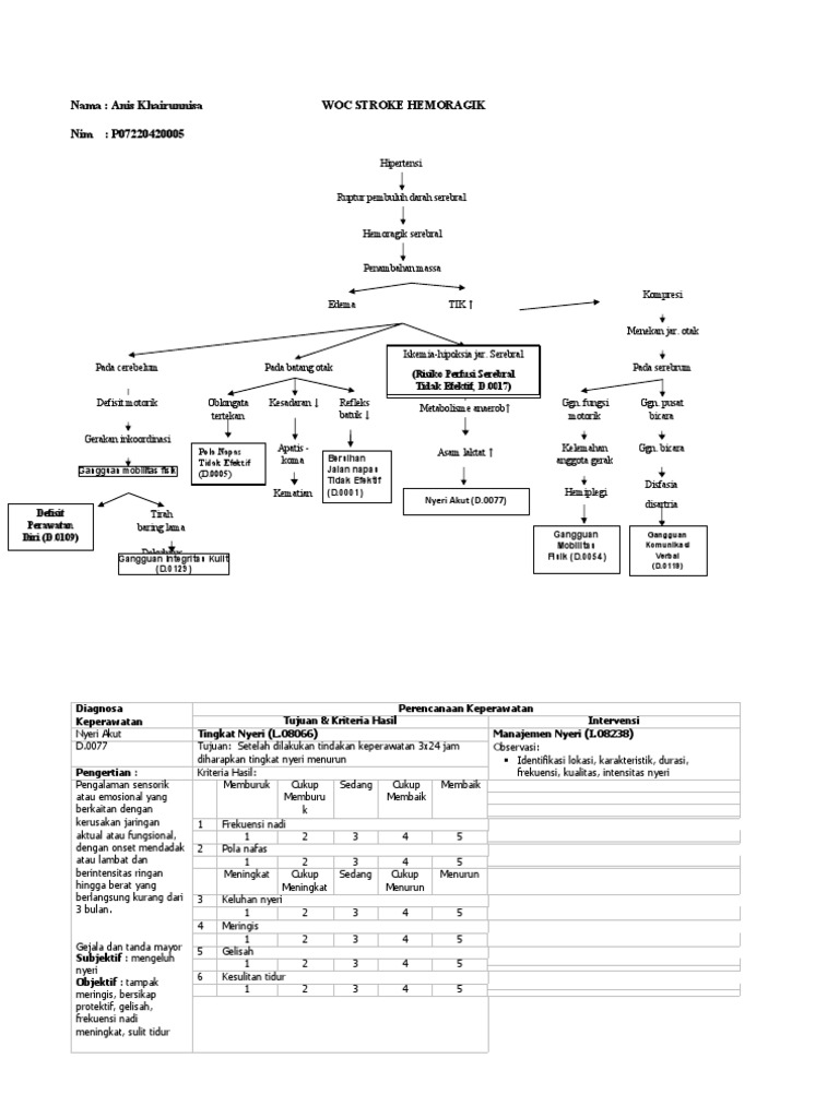 Woc SH Anis Khairunnisa | PDF