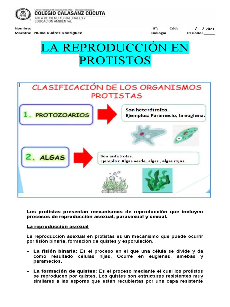 Reproducción en Protistos 2021 | PDF | Reproducción sexual | Malaria