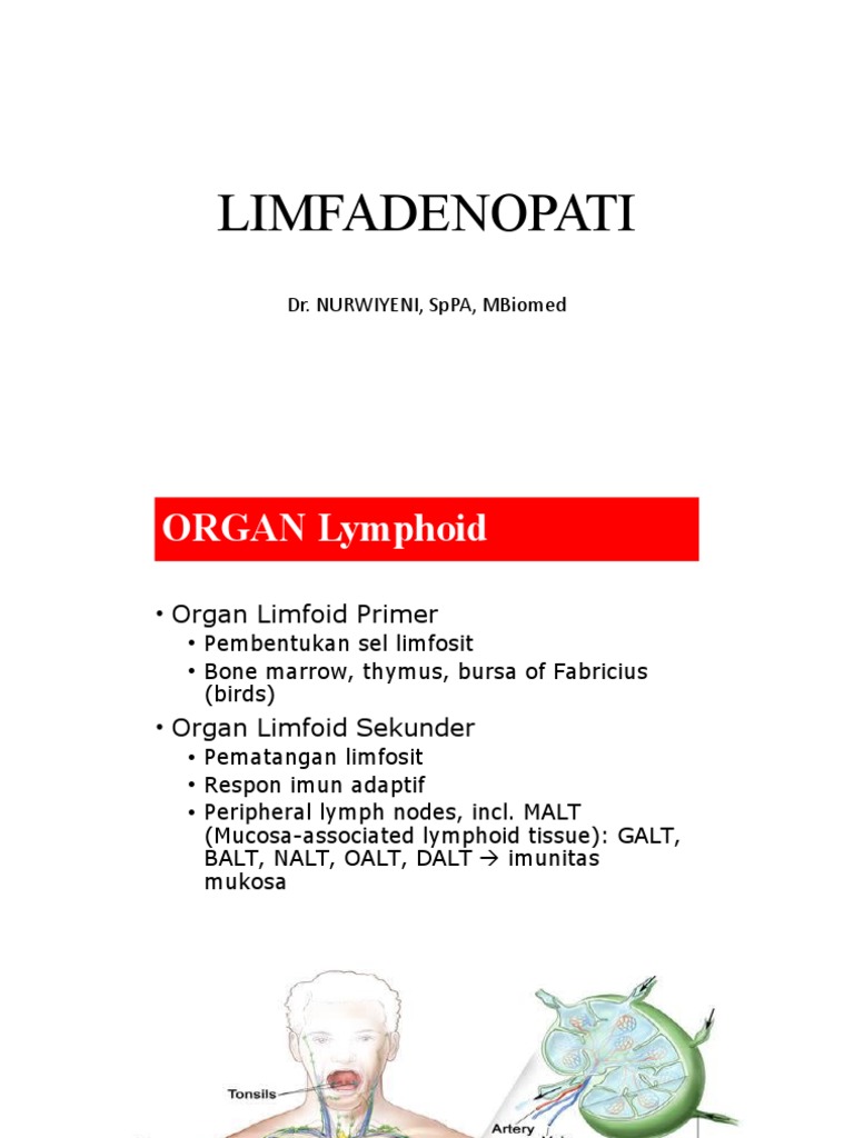 Limfadenopati | PDF
