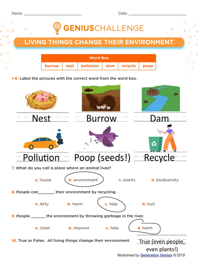 Animals Change The Environment Worksheet GG | PDF