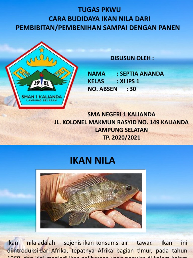 Budidaya Ikan Nila | PDF