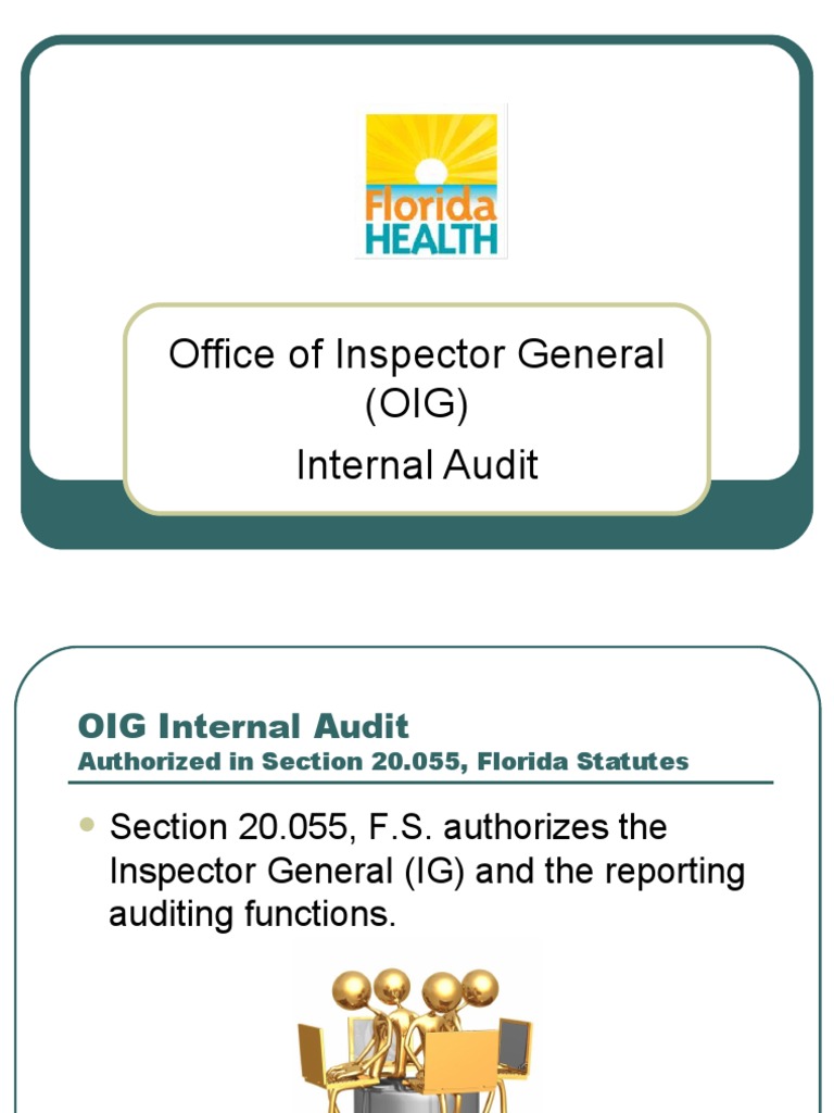 Office of Inspector General (OIG) Internal Audit | PDF | Internal Audit ...