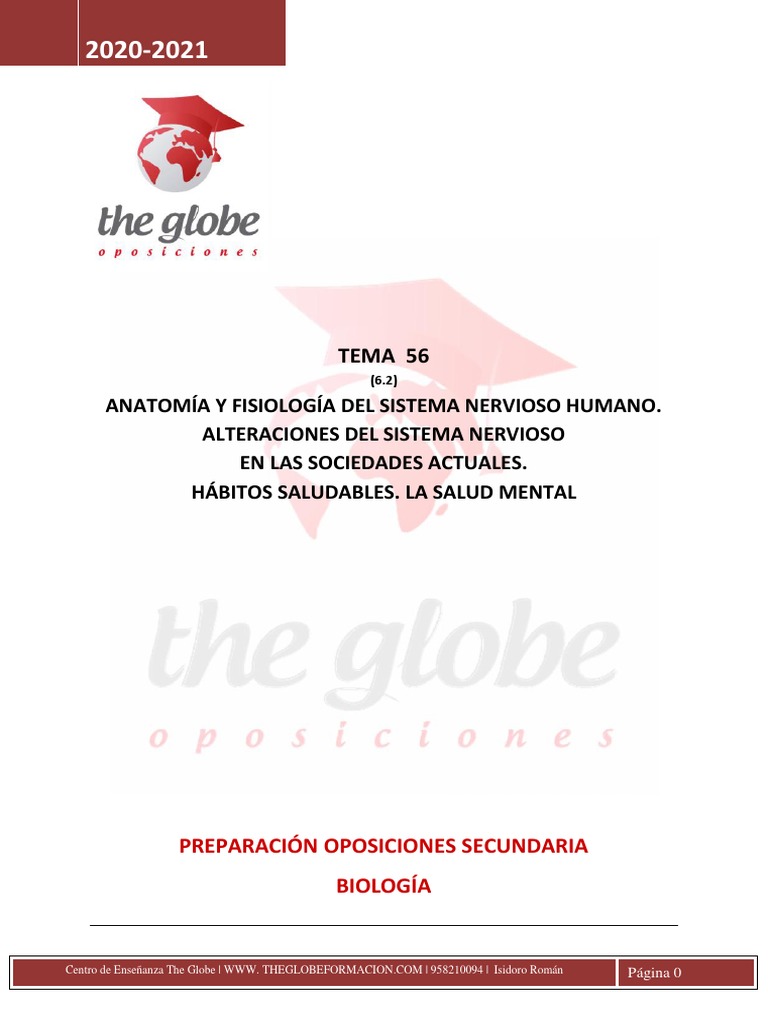 Tema 56 6.2 Plantilla The Globe | PDF | Sinapsis | Médula espinal