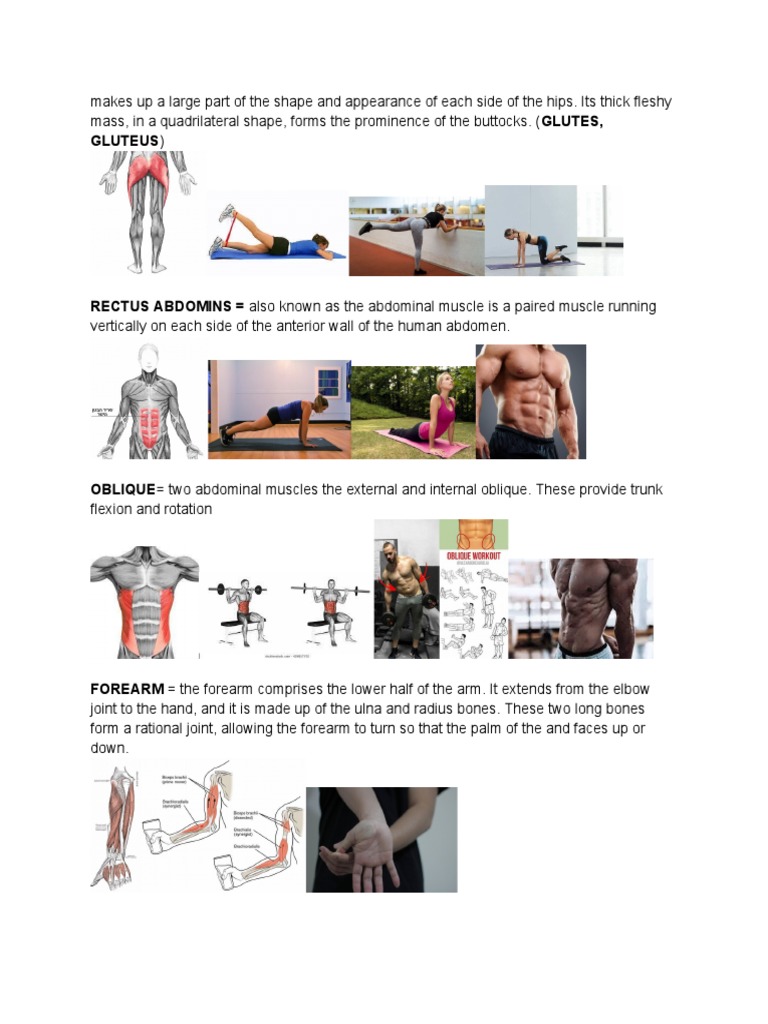 Human Anatomy 3 | PDF | Foreign Language Studies