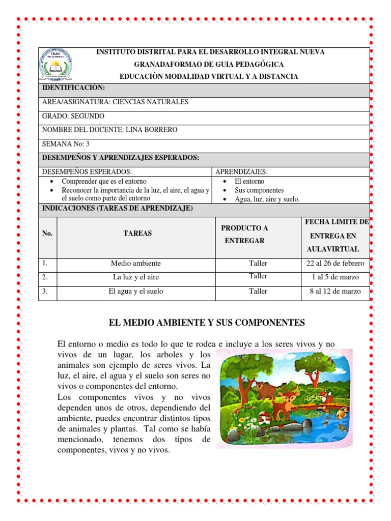 Guia El Medio Ambiente y Sus Componentes | PDF | Entorno natural | Plantas