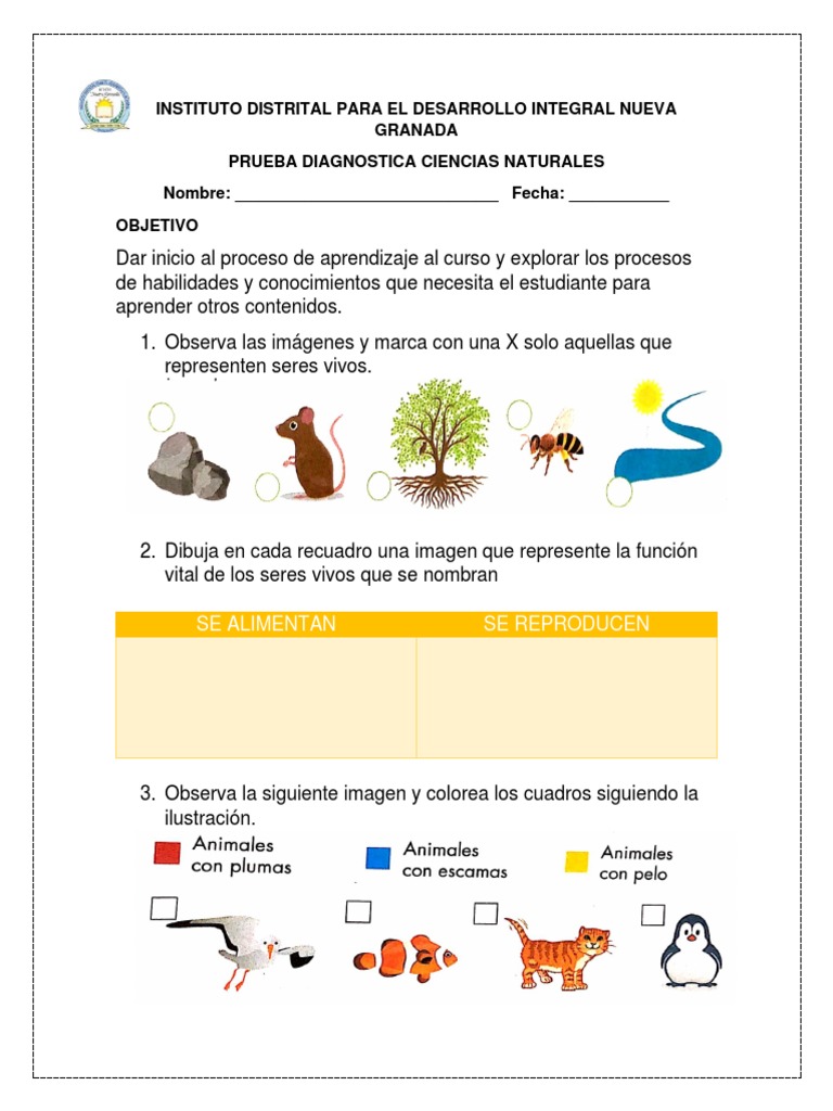 Prueba Diagnóstica Ciencias Naturales | PDF