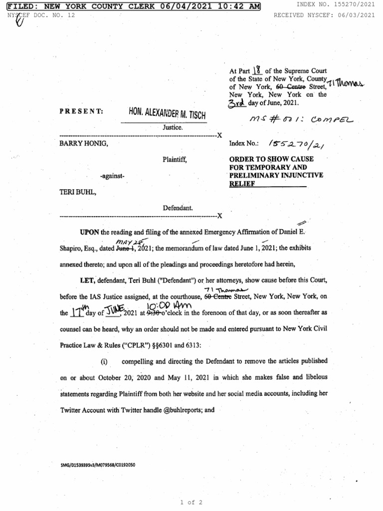 Barry Honig V Teri Buhl TRO Motion June 4th | PDF | Law