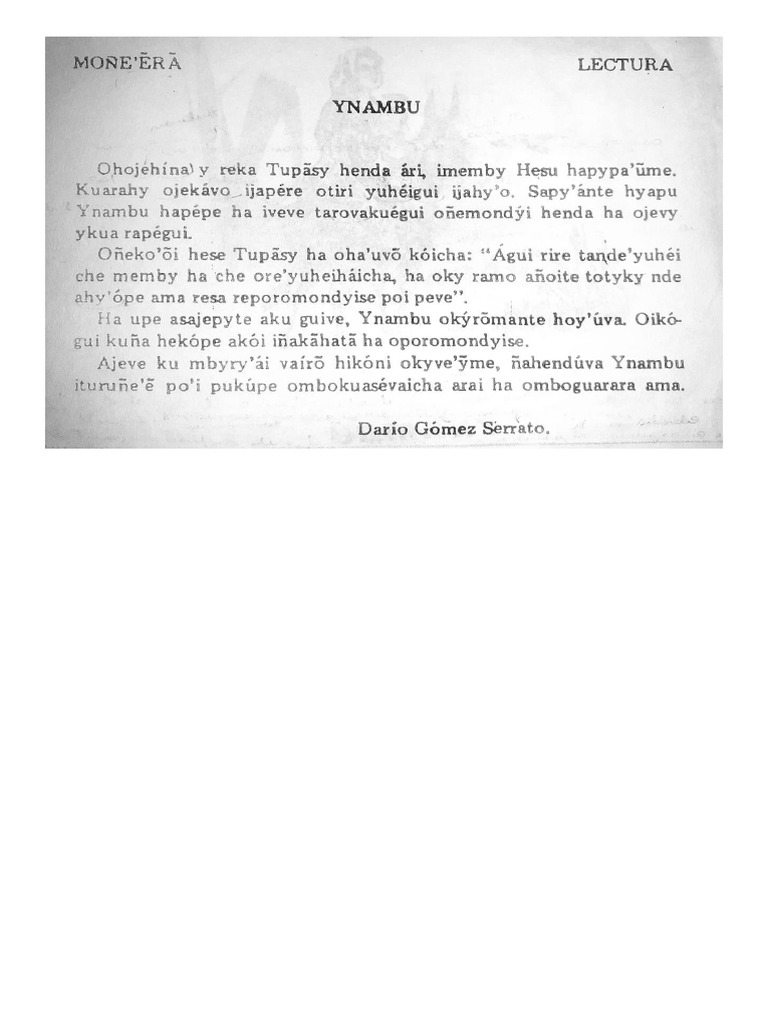 YNAMBU | PDF