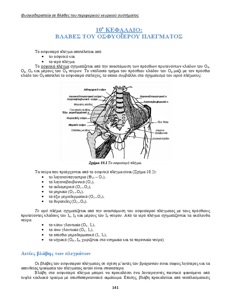 φισιοθεραπια σε βλαβεσ τοθ κατω ακρο | PDF