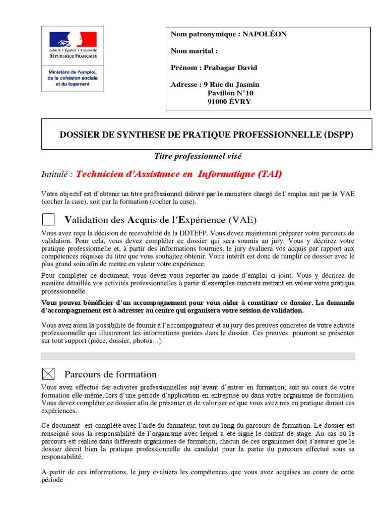 Dossier Professionnel TAI - Validation VAE | PDF | Serveur (Informatique) | Informatique