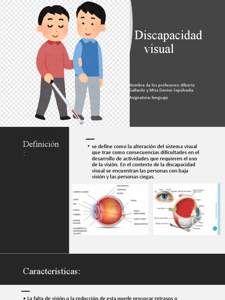 Discapacidad Visual | PDF | Discapacidad visual | Percepción visual