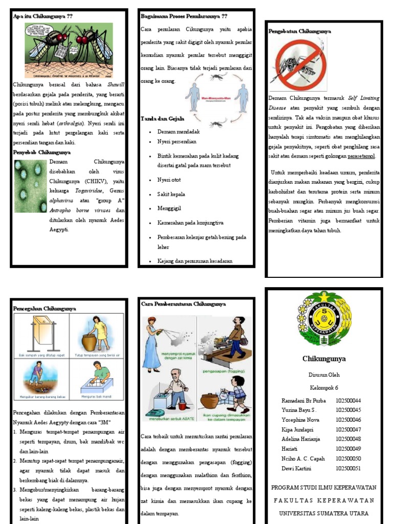 Chikungunya Leaflet | PDF