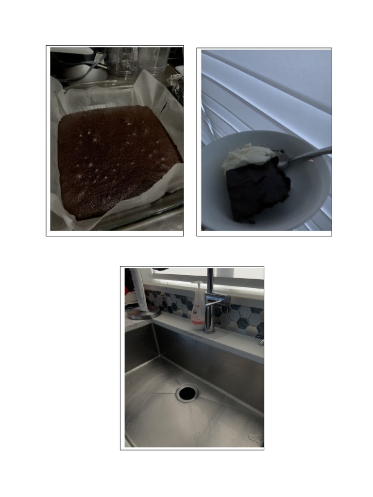 Brownie Lab | PDF