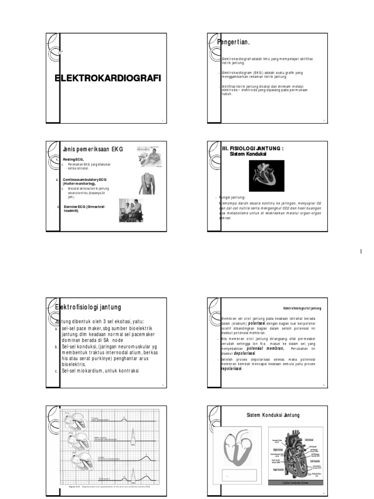 ELEKTROFISIOLOGI JANTUNG | PDF