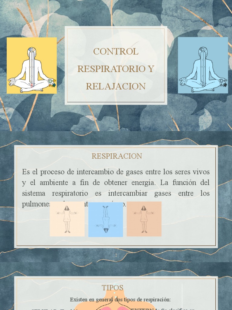 Control Respiratorio | PDF | Respiración | Sistema respiratorio