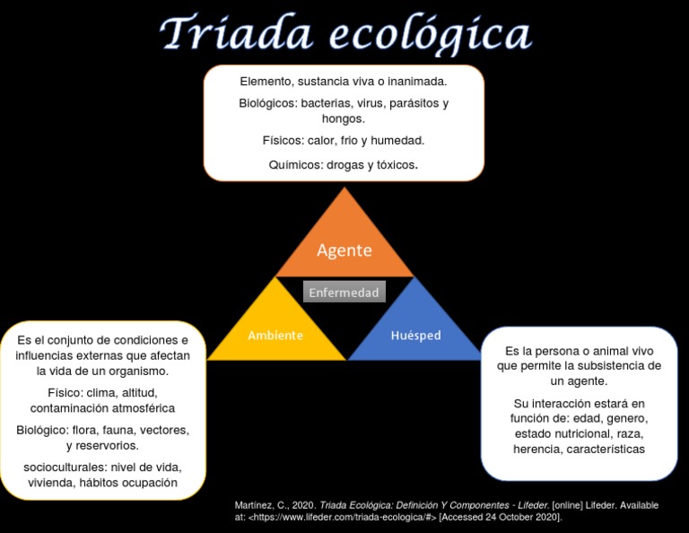 Definición y Componentes de la Triada Ecológica | PDF