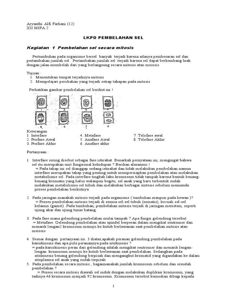 LKPD Bio Pembelahan Sel | PDF | Pengembangan Diri | Kesehatan Holistik