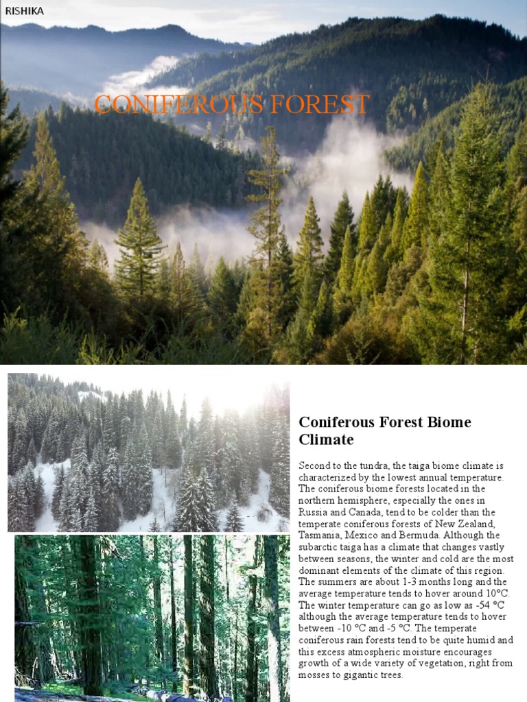 Biomes Forest | PDF | Forests | Organisms