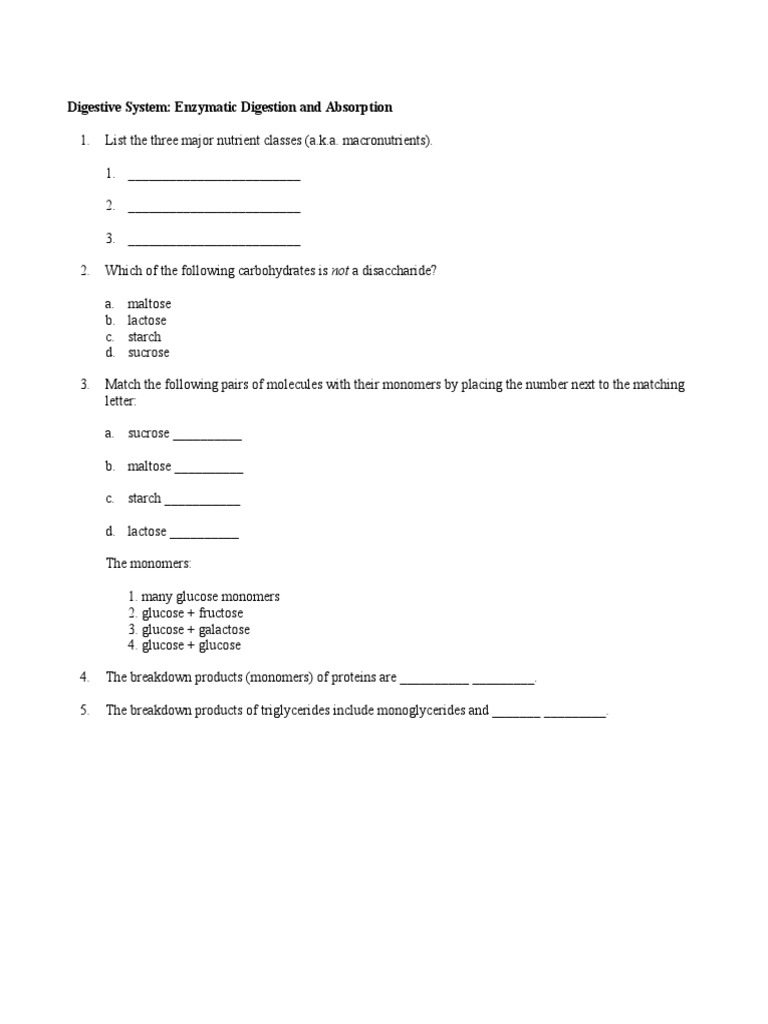 Digestive - IP - Enzymatic Digestion and Absorption - Worksheet | PDF ...