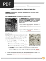 Peppered Moths Natural Selection Game | PDF