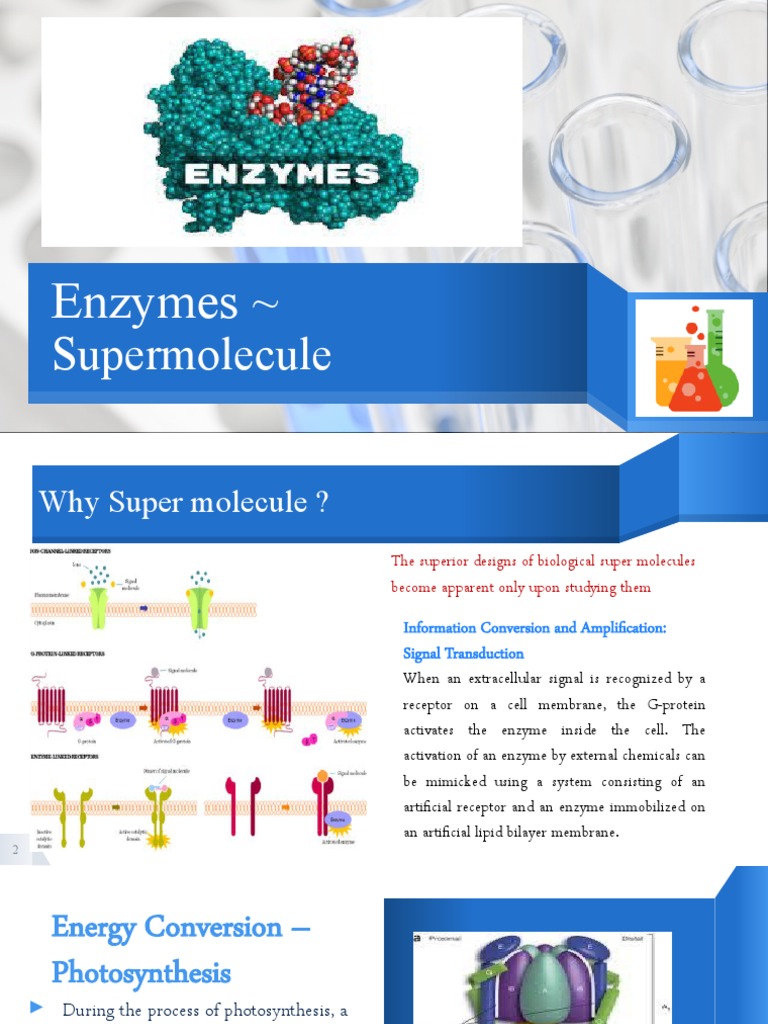 Enzymes Intro | PDF | Enzyme Assay | Enzyme