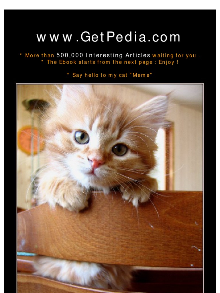 A Guide To Learning Japanese - Grammar & Tests | PDF | Japanese ...