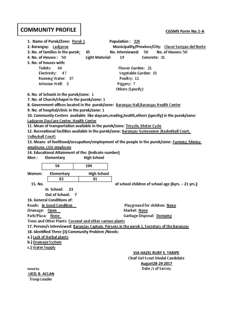 Community Profile: CGSMS Form No.1-A | PDF | Nature | Water Supply