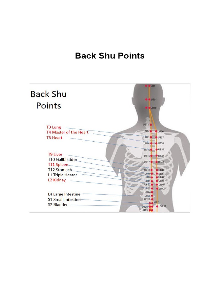 Back Shu Points | PDF