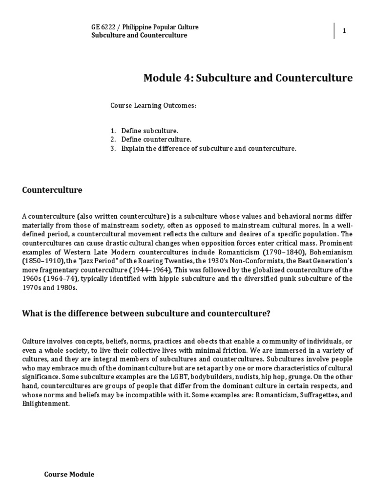 W3-4 Module 004 - Subculture and Counterculture | PDF | Counterculture ...