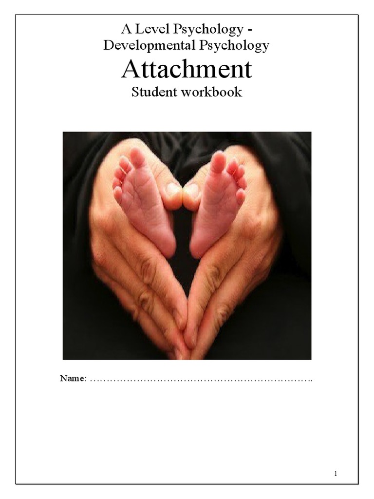 Attachment Workbook New 2015 | PDF | Attachment Theory | Classical ...